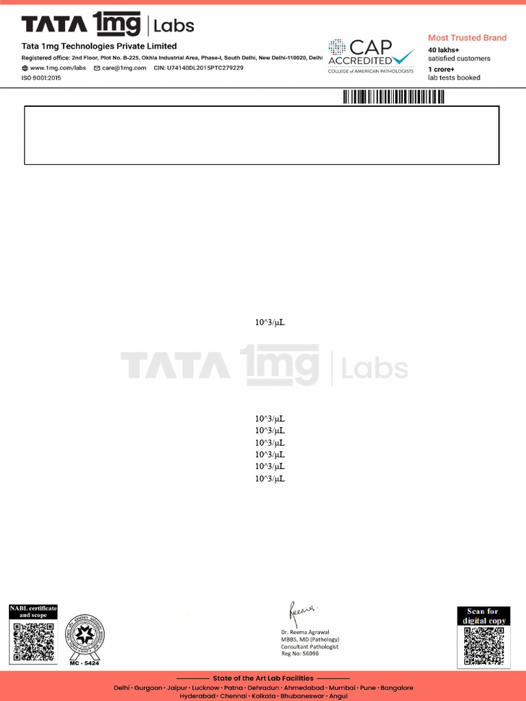 Report E77ded38 | PDF | Creatinine | Clinical Medicine