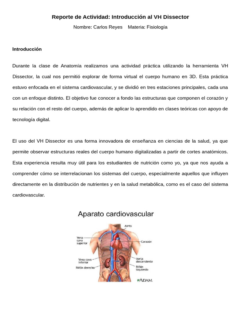 Introducción al VH Dissector en Fisiología | PDF | Sistema circulatorio ...