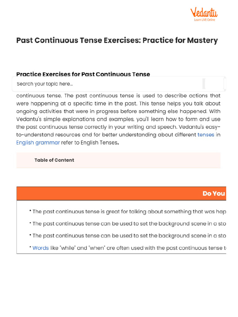 Past Continuous Tense Exercises | PDF