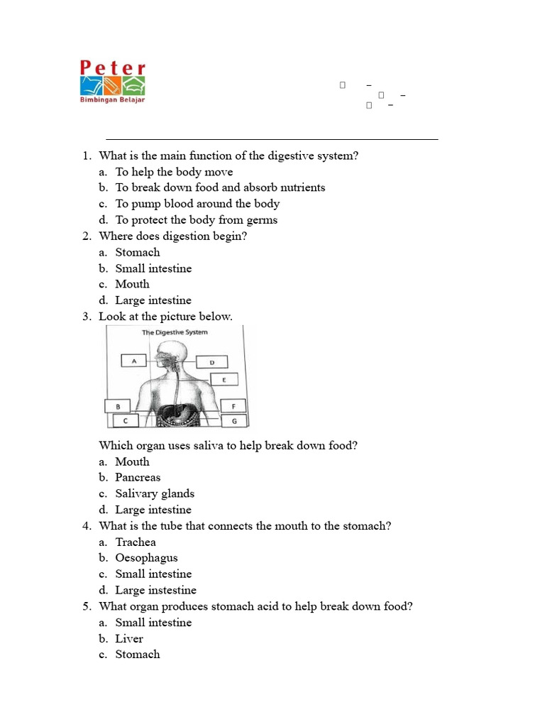 Review final Exam Emily and Ishaan | PDF | Digestion | Foods