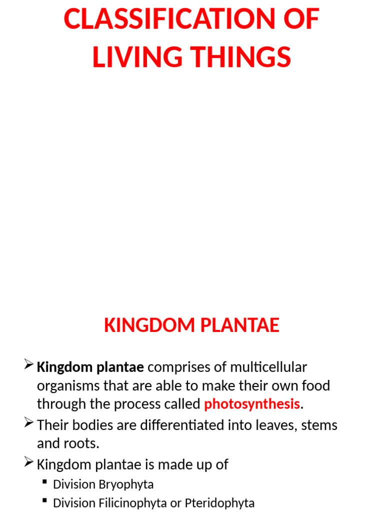 Classification of Living Things | PDF | Plant Stem | Pine