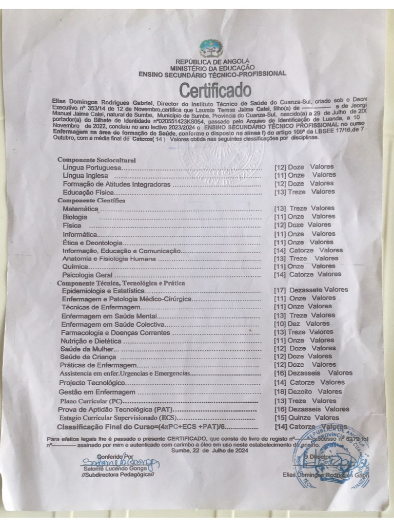 10-04 - Certificado Compress | PDF