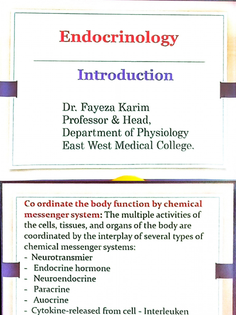 Endocrinology (Item 1) | PDF