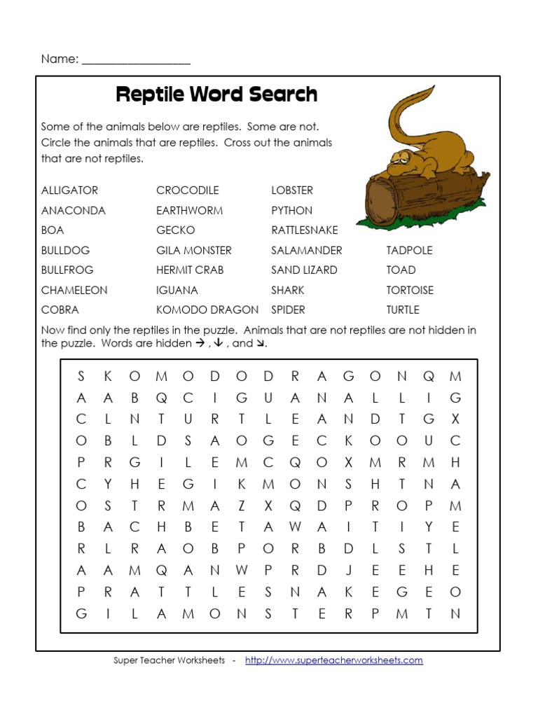 Reptiles Wordsearch REPTW | PDF | Reptile | Lizard