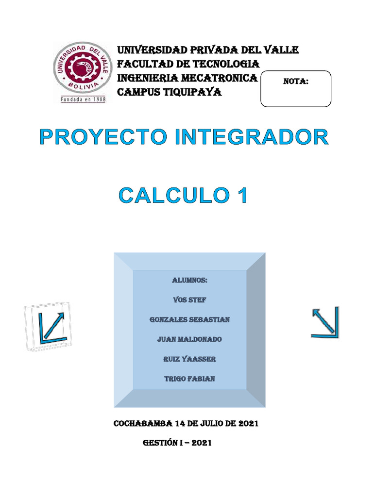 Proyecto Integrador Final | PDF