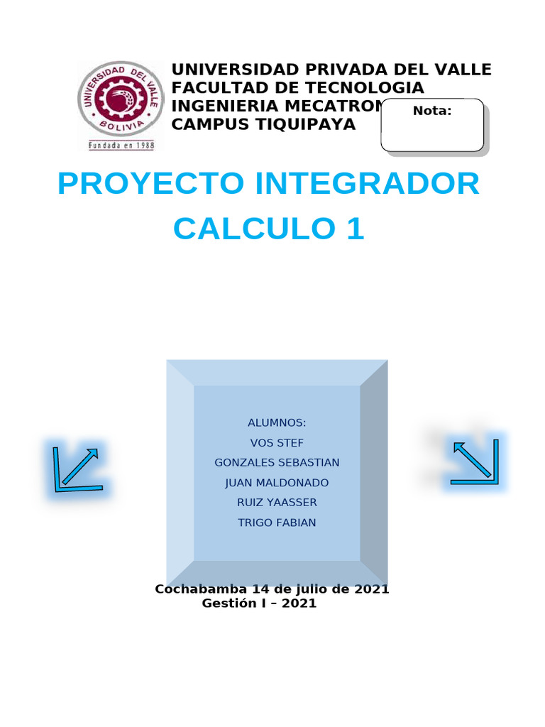 Proyecto Integrador Final | PDF