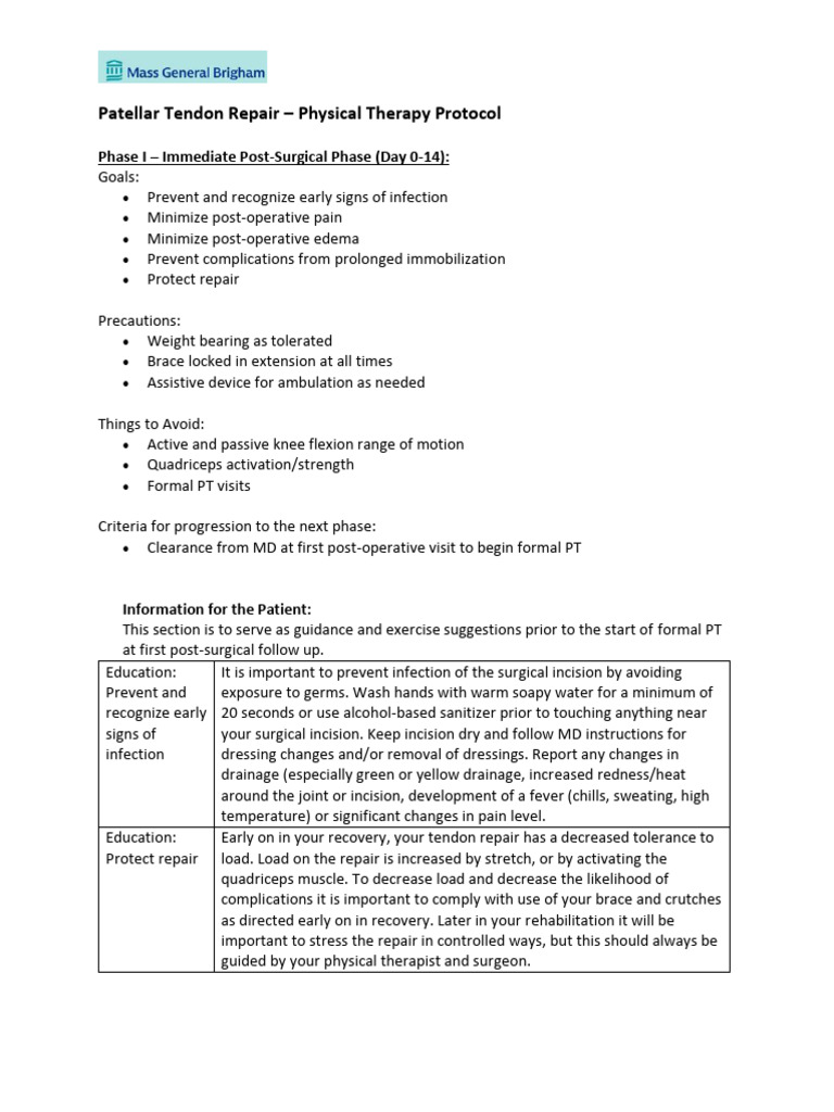 Patellar Tendon Repair Rehab Protocol | PDF | Knee | Vein