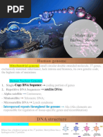 DNA Revision Worksheet For Grade 10 Students | PDF | Dna | Gene