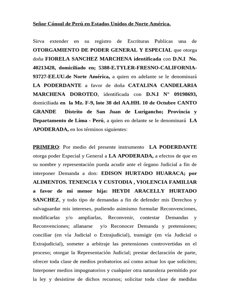Carta Poder Consular | PDF | Ley procesal | Justicia