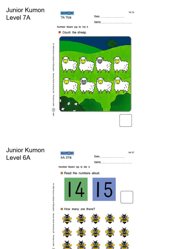 Sample Worksheets (Math) - All Levels | PDF