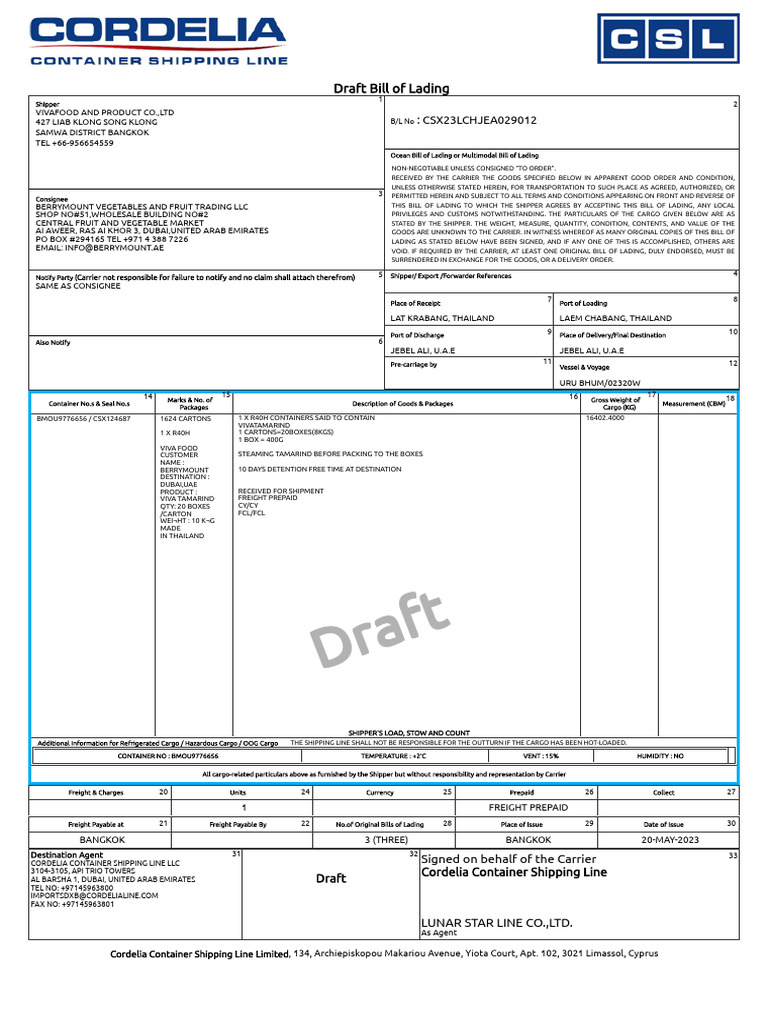Draft Bill of Lading for Tamarind Shipment | PDF | Cargo | Bill Of Lading