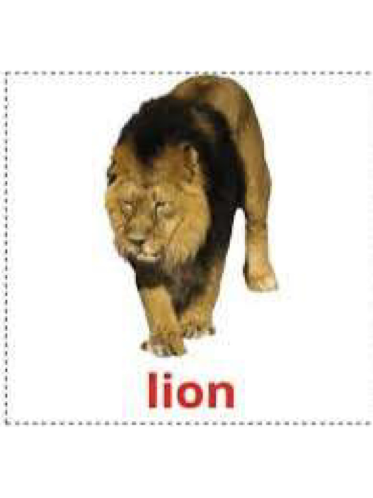 Lion | PDF