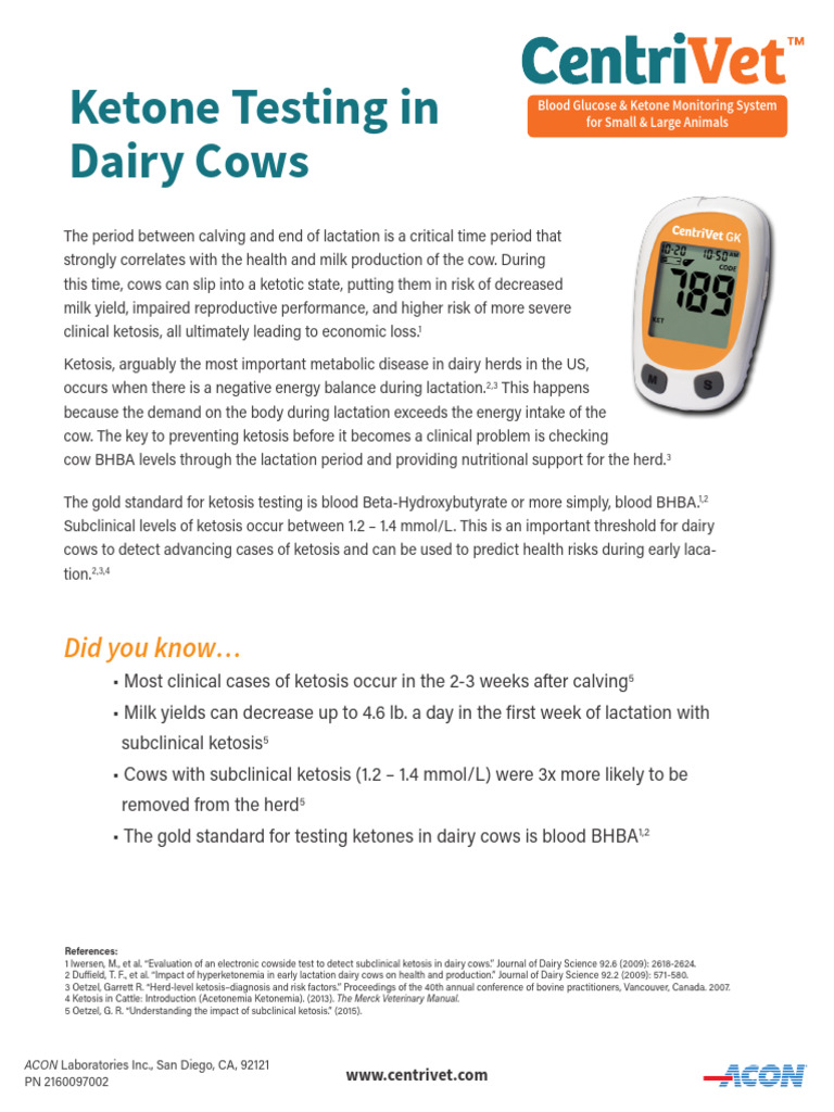 Ketone Testing for Dairy Cows' Health | PDF | Ketosis | Dairy Cattle