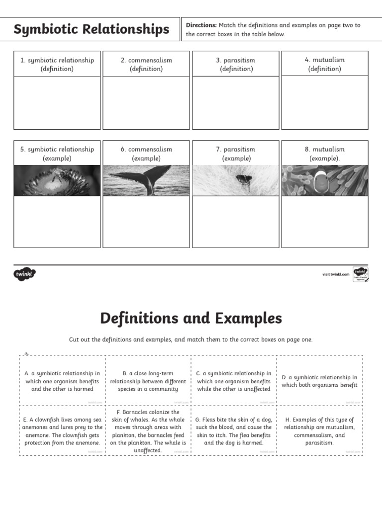BW Symbiotic Relationships Vocabulary Matching Activity | PDF ...