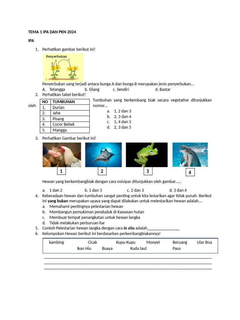 PH Tema 1 Ipa Dan PKN 2024 KLS 6 | PDF