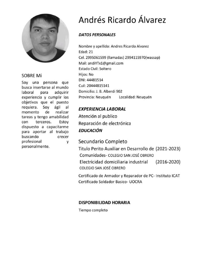 Curriculum Vitae Andres 2024 | PDF