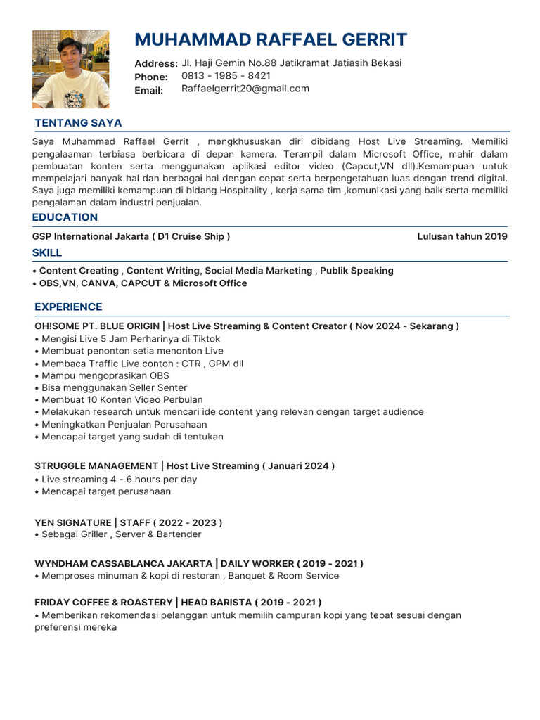 CV Raffael Gerrit Update | PDF