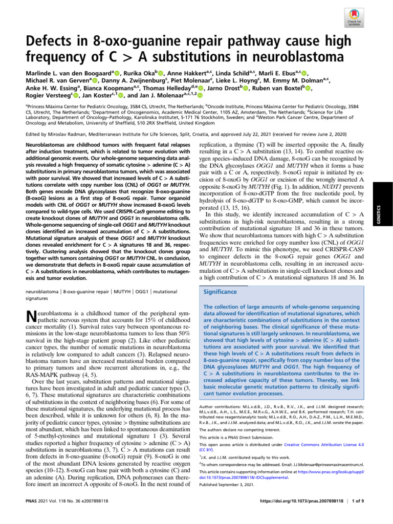 Van Den Boogaard Et Al Defects in 8 Oxo Guanine Repair Pathway Cause ...