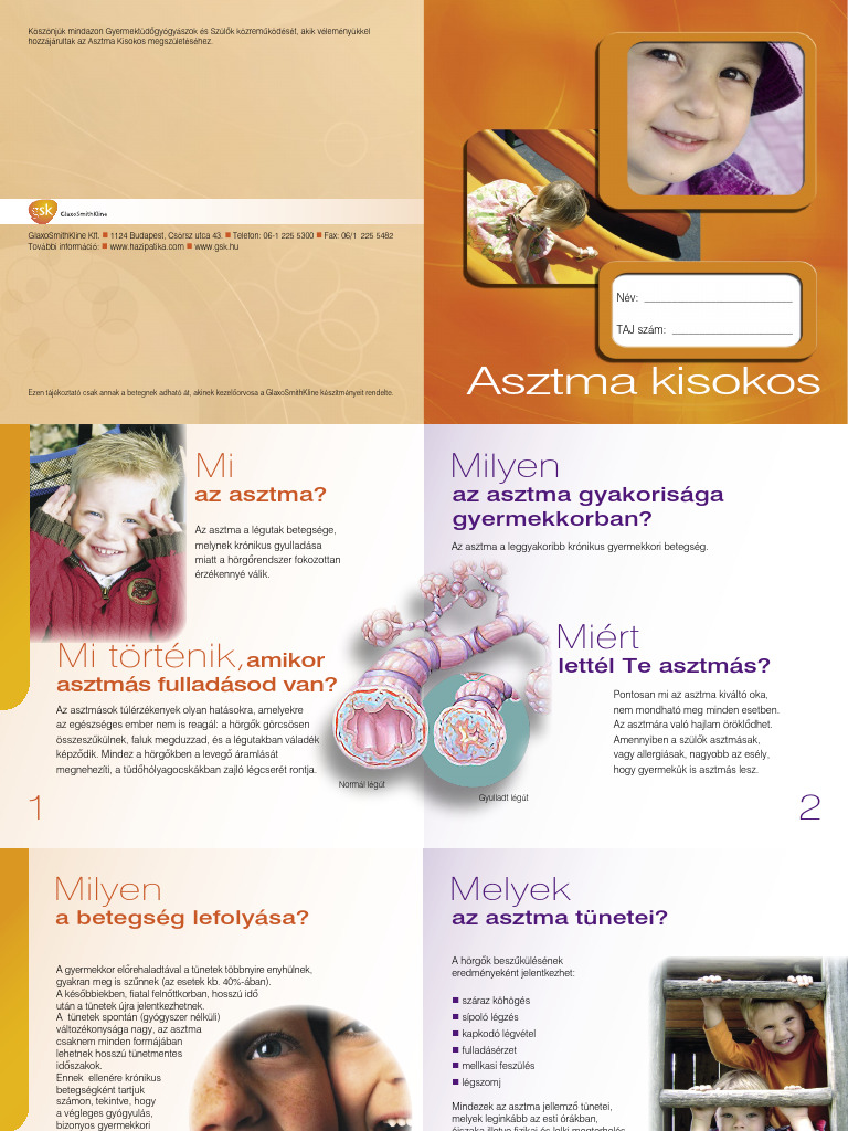 Asztma Kisokos | PDF