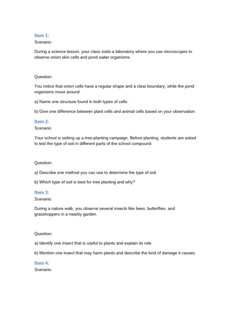Scenario-Based Assessment | PDF