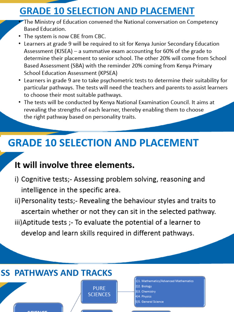 Grade 10 Selection and Pathways 2025 | PDF | Educational Assessment ...