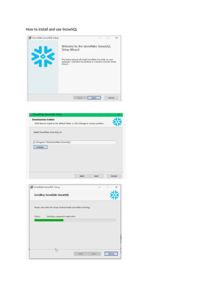 How To Install and Use SnowSQL | PDF