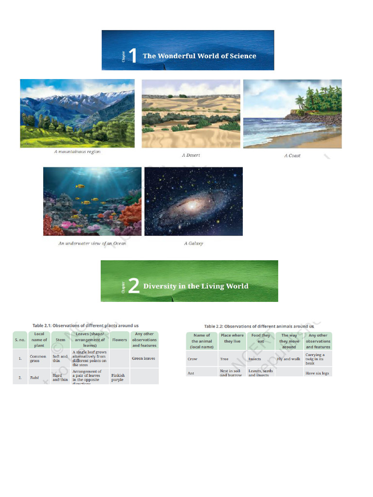 Summer Vacation Holiday Home Assignments 2025 | PDF