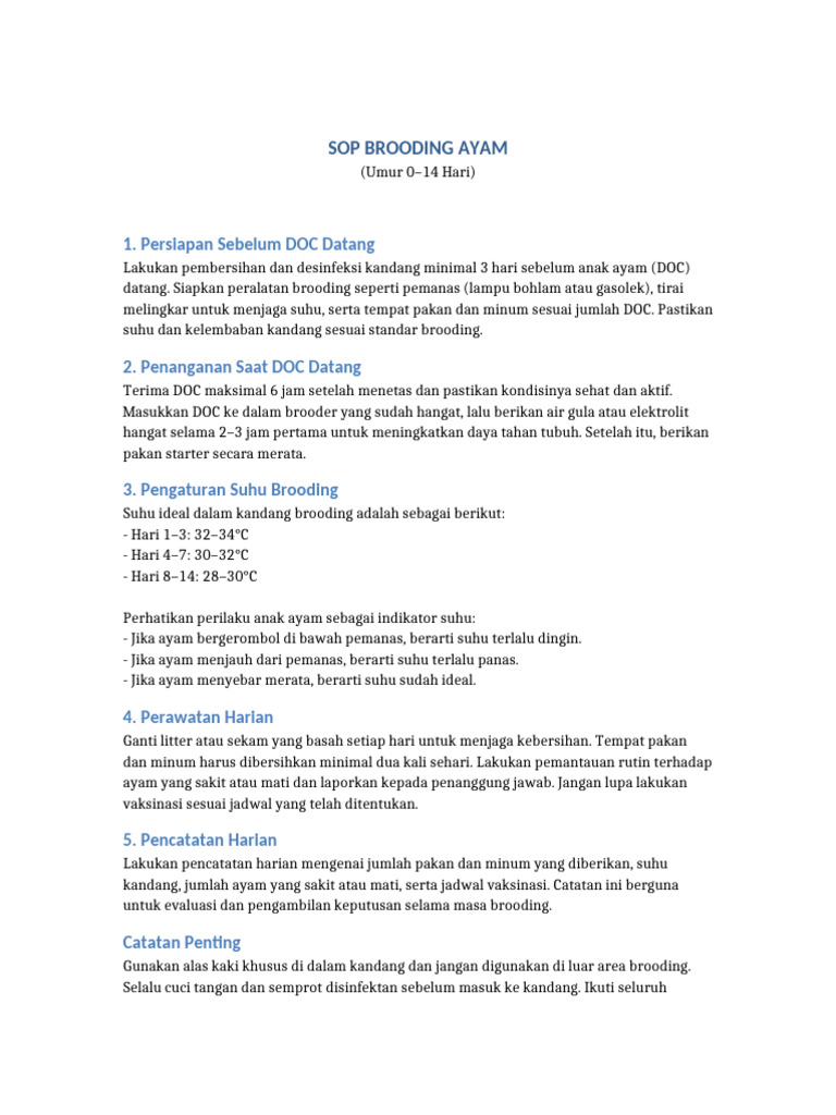 SOP Brooding Ayam Rapi 2 | PDF