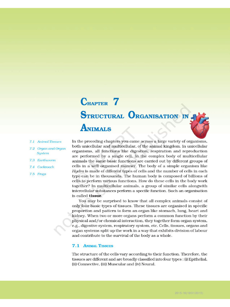 Structural Organization (Zoology) | PDF