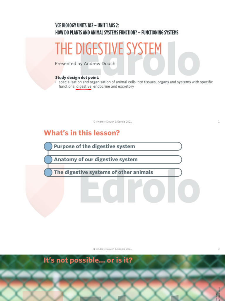 The Digestive System - Edrolo - Study Notes | PDF | Digestion | Human ...