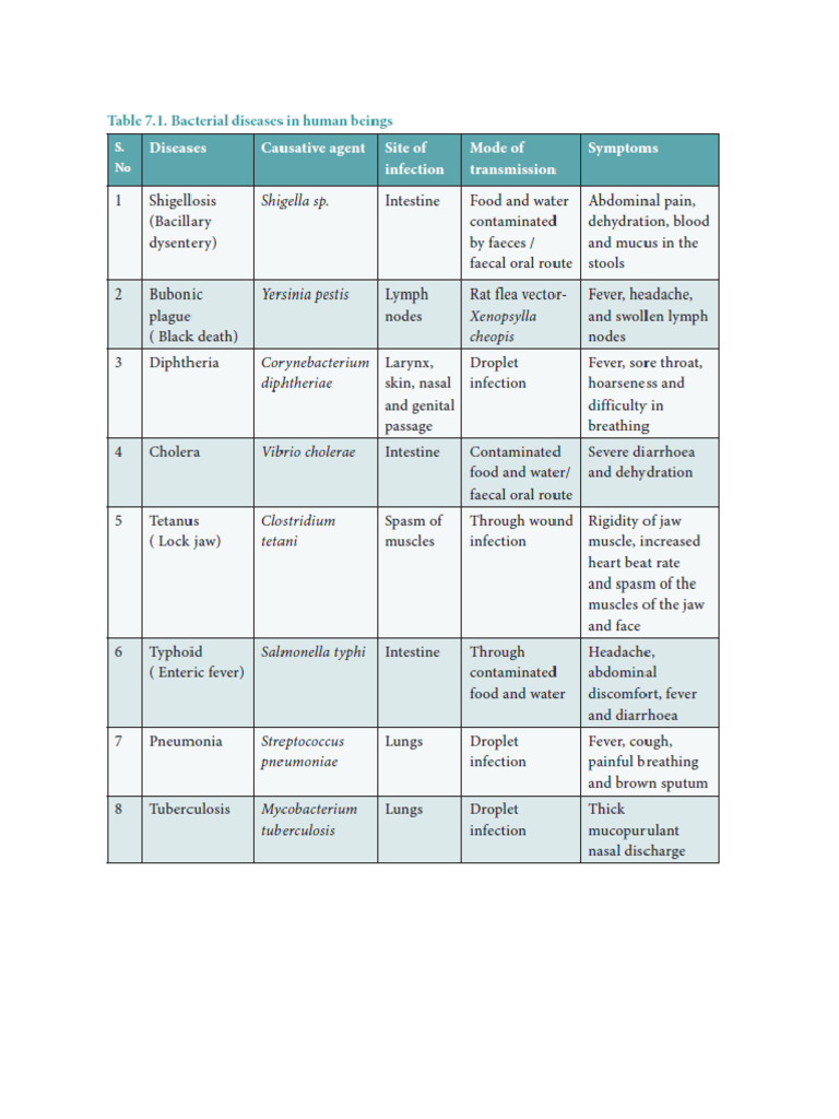 Bacterial Diseases in Human Beings | PDF