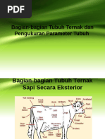 Jenis-Jenis Sapi di Indonesia | PDF