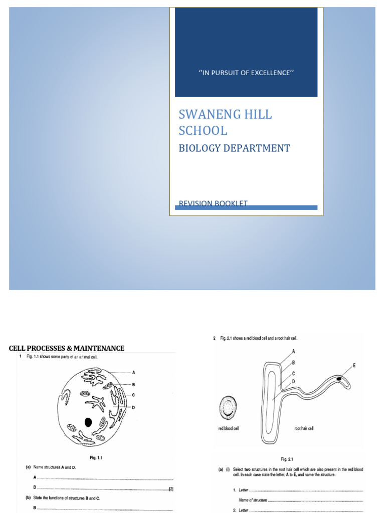 Biology Revision Material Final | PDF | Circulatory System | Heart