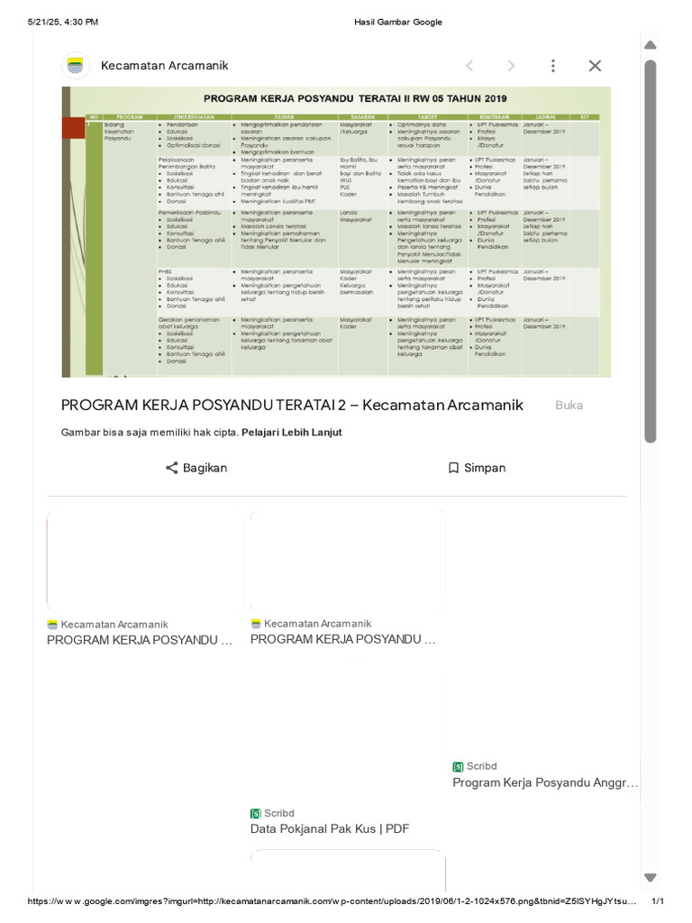 PROGRAM KERJA POSYANDU | PDF