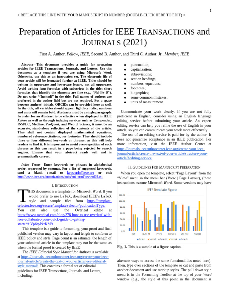 Transactions Template and Instructions On How To Create Report | PDF