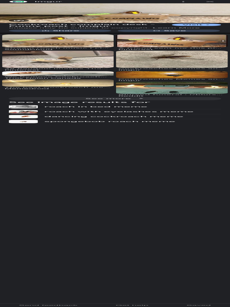 Cockroach Complaints Meme - Google Search | PDF