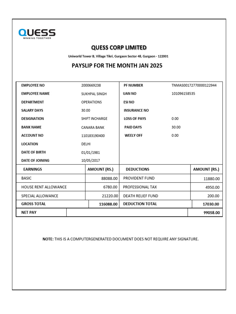 January 2025 Salary Slip | PDF