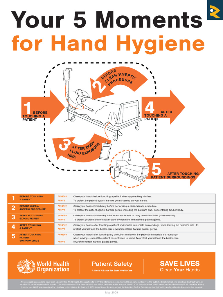 5 Moments for Hand Hygiene Poster | PDF | Health Sciences | Medicine