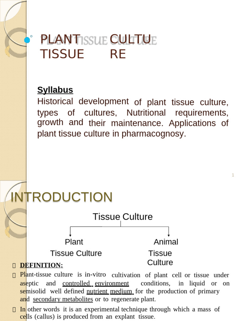 Plant Tissue Culture Overview and Applications | PDF | Sterilization ...