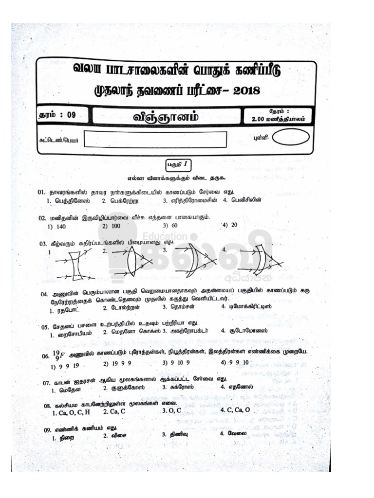 Gr9 Ta Science 2018 Term 1 | PDF