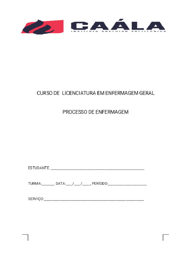 MODELO DE PAE - PRÁTICAS_Phoenix | PDF