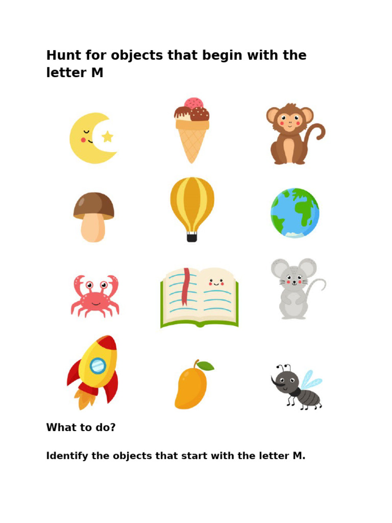 Identify The Objects M Eng Literacy Puzzle | PDF