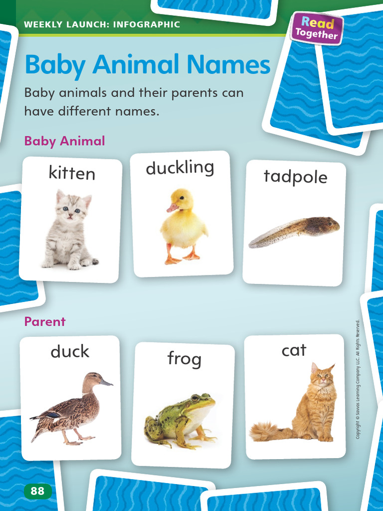 Student Interactive U2 Week 4 | PDF | Phonics | Word