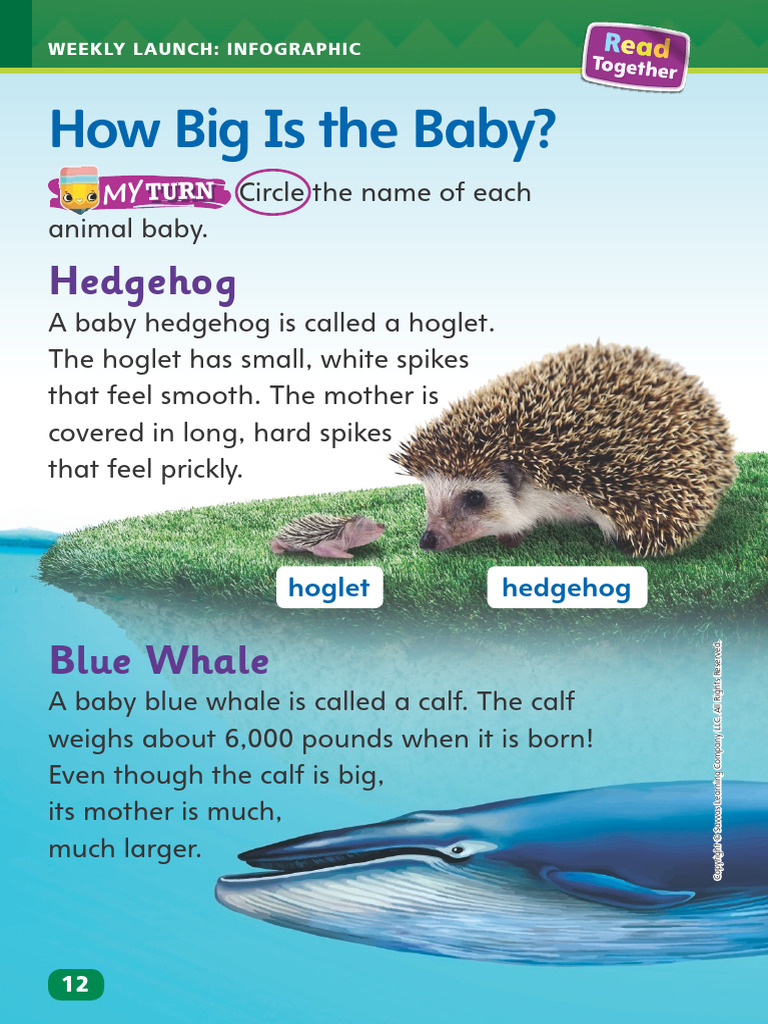 Student Interactive U2 Week 1 | PDF | Phonics | Frog