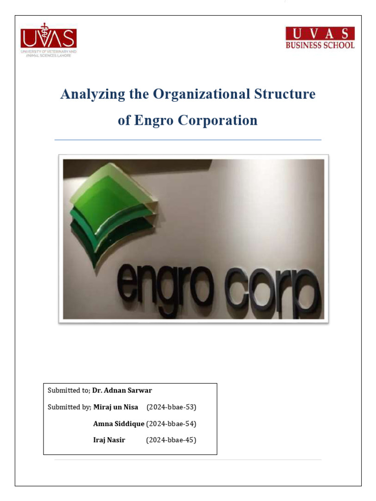 Engro Corporation Organizational Structure Analysis | PDF | Economies ...