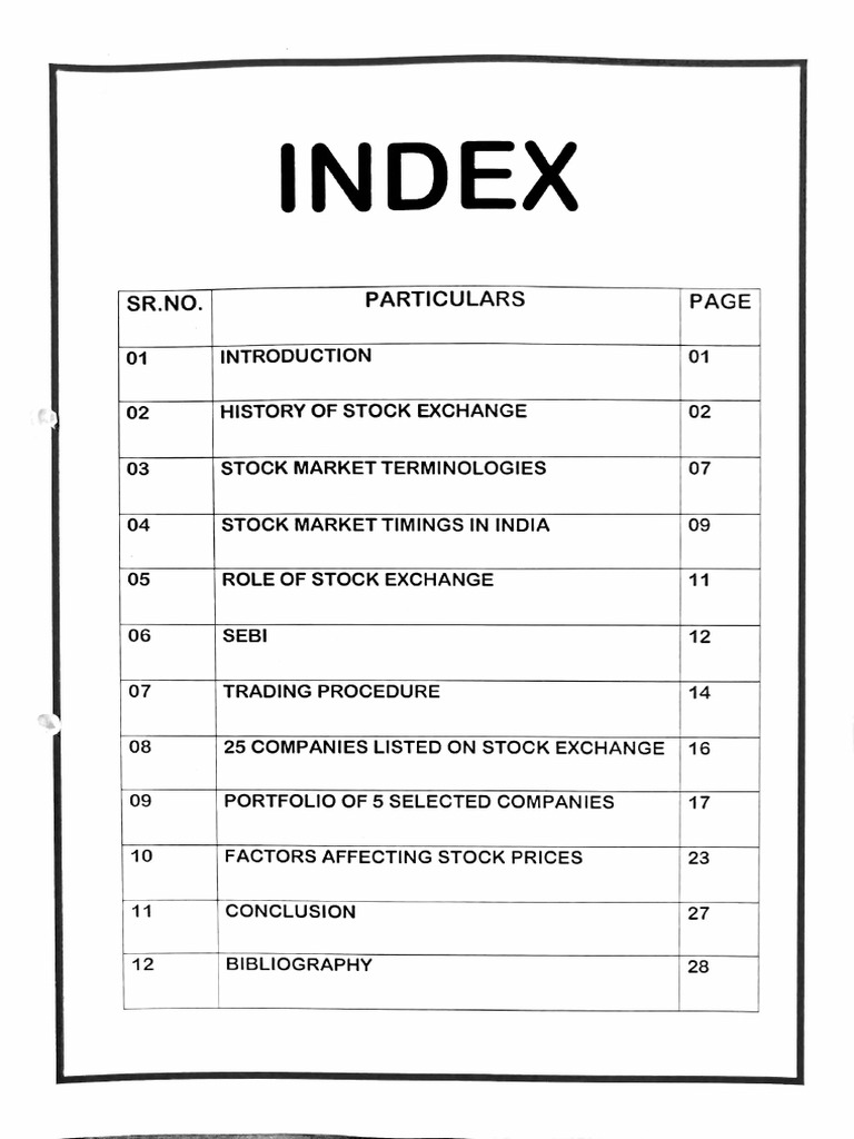 Class 12 Stock Exchange | PDF