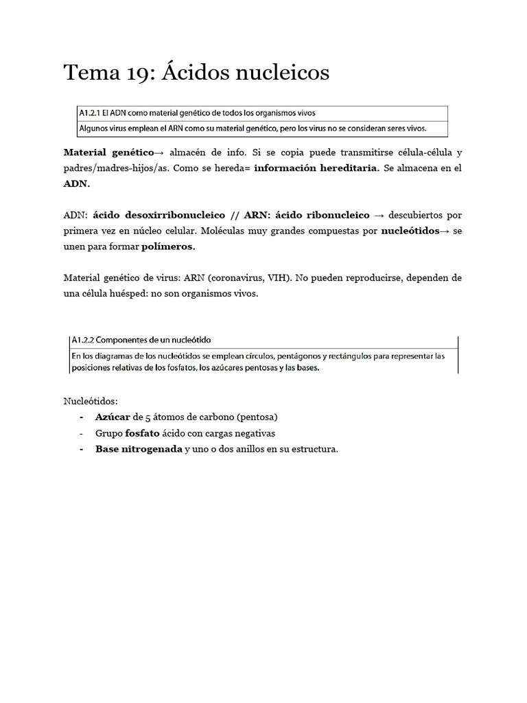 Tema 19_ Ácidos nucleicos | PDF | Adn | Rna