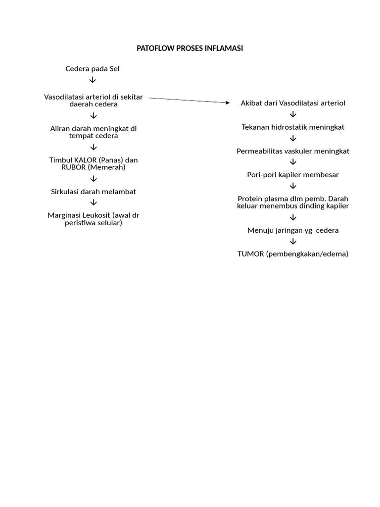 PATOFLOW PROSES INFLAMASI | PDF