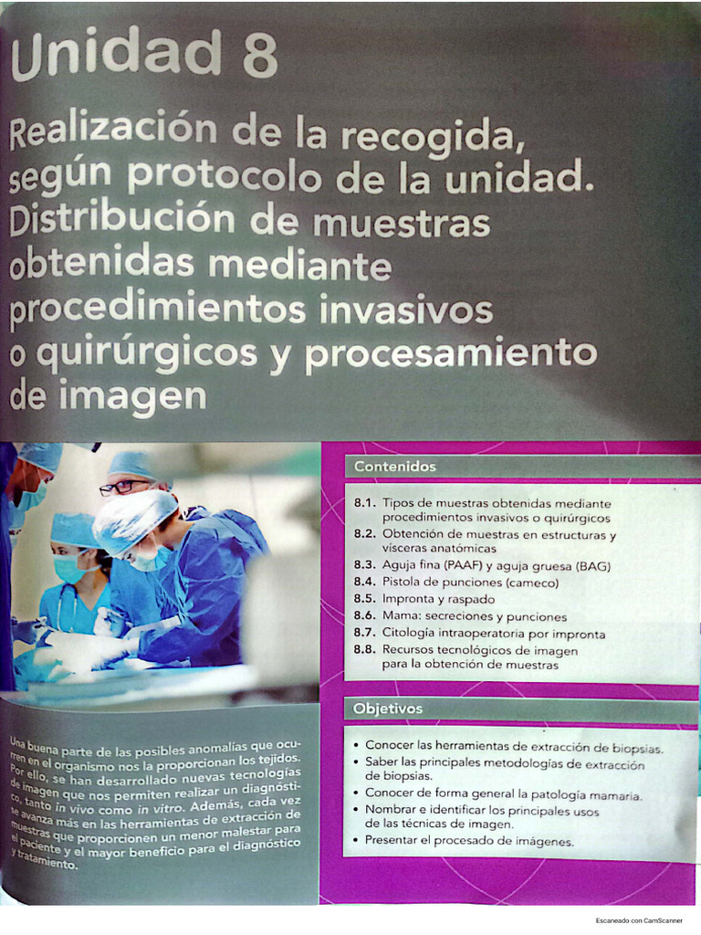 Temas 8 y 9 GMB | PDF