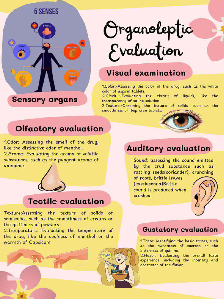 Organoleptic Evaluation | PDF
